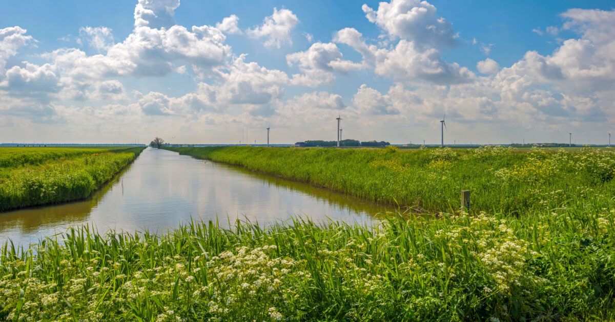 Subsidie voor het Groene Uitweggebied weer open | Epiic